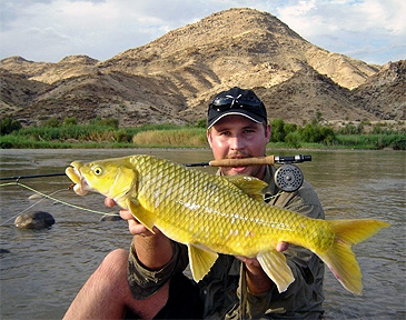 Fishing Worldrecords | carps 5-10 kg | Labeobarbus aeneus