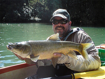 Fishing Worldrecords | carps 5-10 kg | Labeobarbus polylepis
