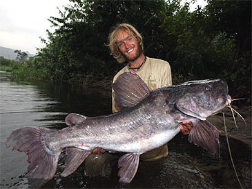 Fishing Worldrecords | catfishes over 50 kg | Chrysichthys cranchii