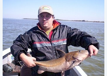 Fishing Worldrecords | catfishes up 10 kg | Oxydoras kneri