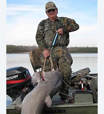 Fishing Worldrecords | catfishes over 50 kg | Ictalurus furcatus
