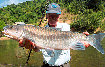 Fishing Worldrecords | carps 5-10 kg | Neolissochilus stracheyi